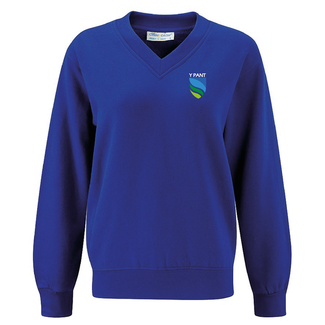 Y Pant Comprehensive School | Trustmark Design and Print Limited